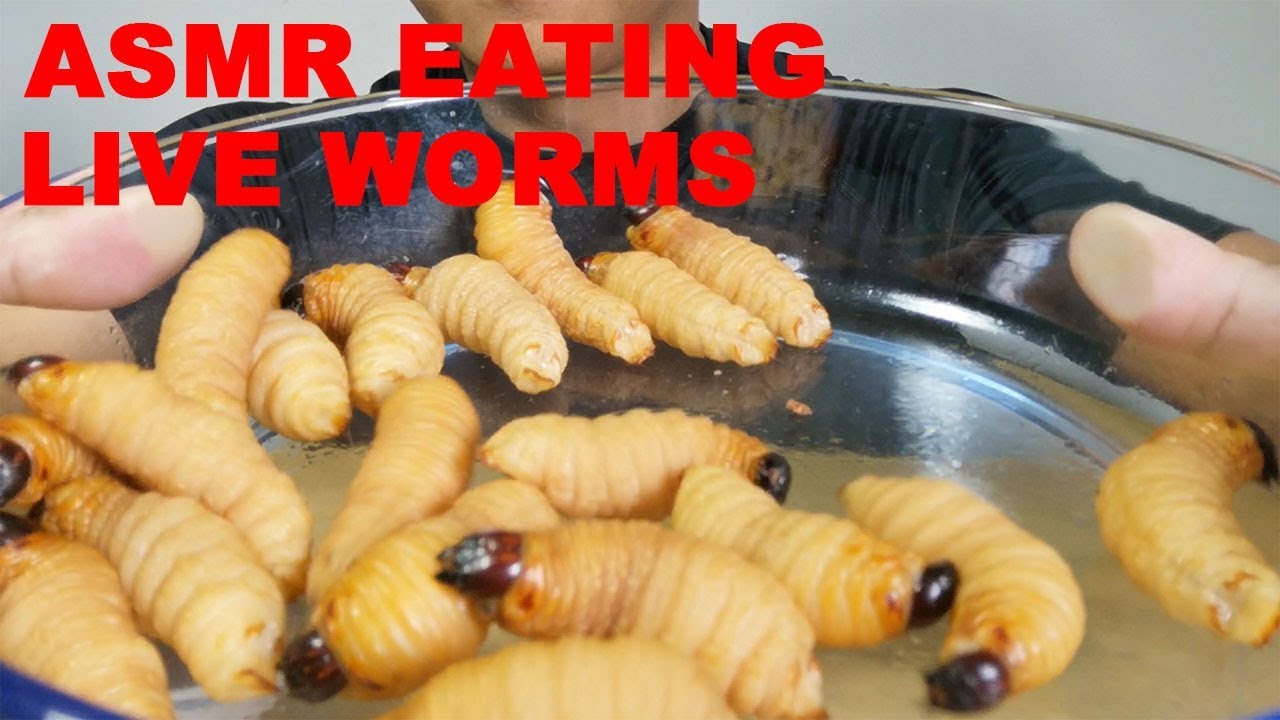 Primitive ASMR Mukbang Eating Live Coconut Worms (ASMR USA Portugal ...