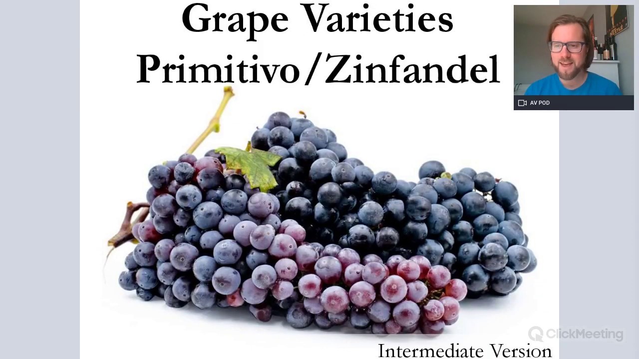 Grape Varieties - Primitivo/Zinfandel Intermediate ideal for WSET L2 ...