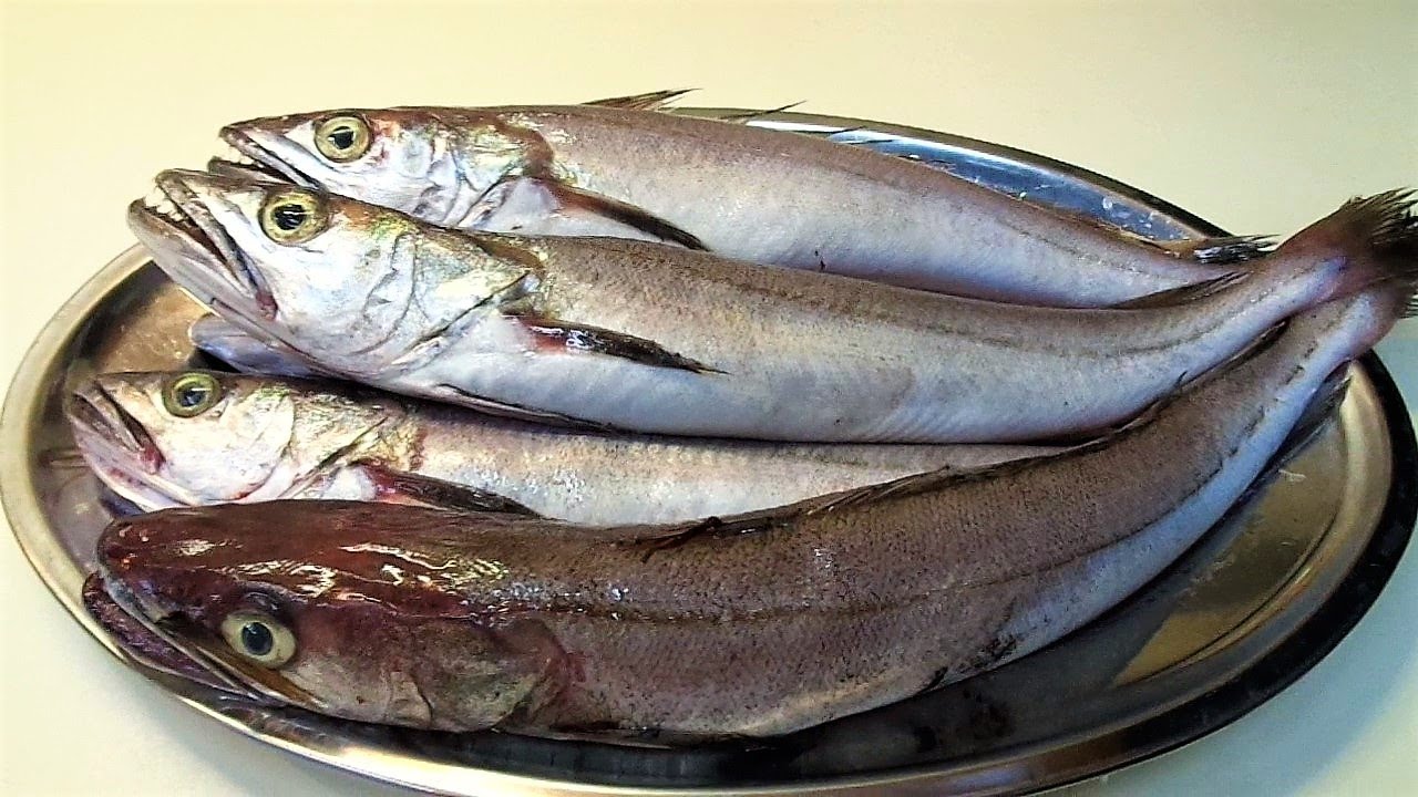 Codfish recipe. Cod SALAD Simple and Healthy | Merluzzo all'insalata ...