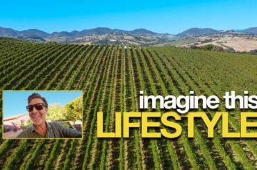 What’s New in Lidl - Italian Week - From 4 September 2025 - Italian Food