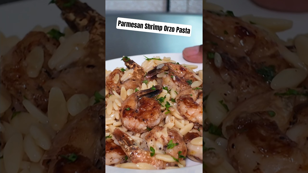 Easy Parmesan Shrimp Orzo Recipe Kids Will Love! - Italian Food