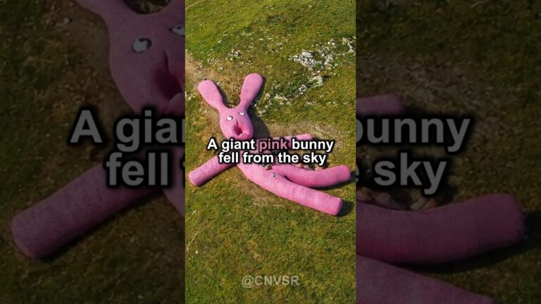 The Giant Pink Bunny of Italy: A 20-Year Decay #GiantPinkBunny # ...